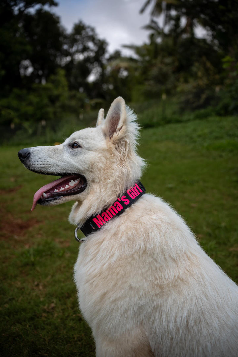 Customizable ID Panel | K9 Tactical Gear