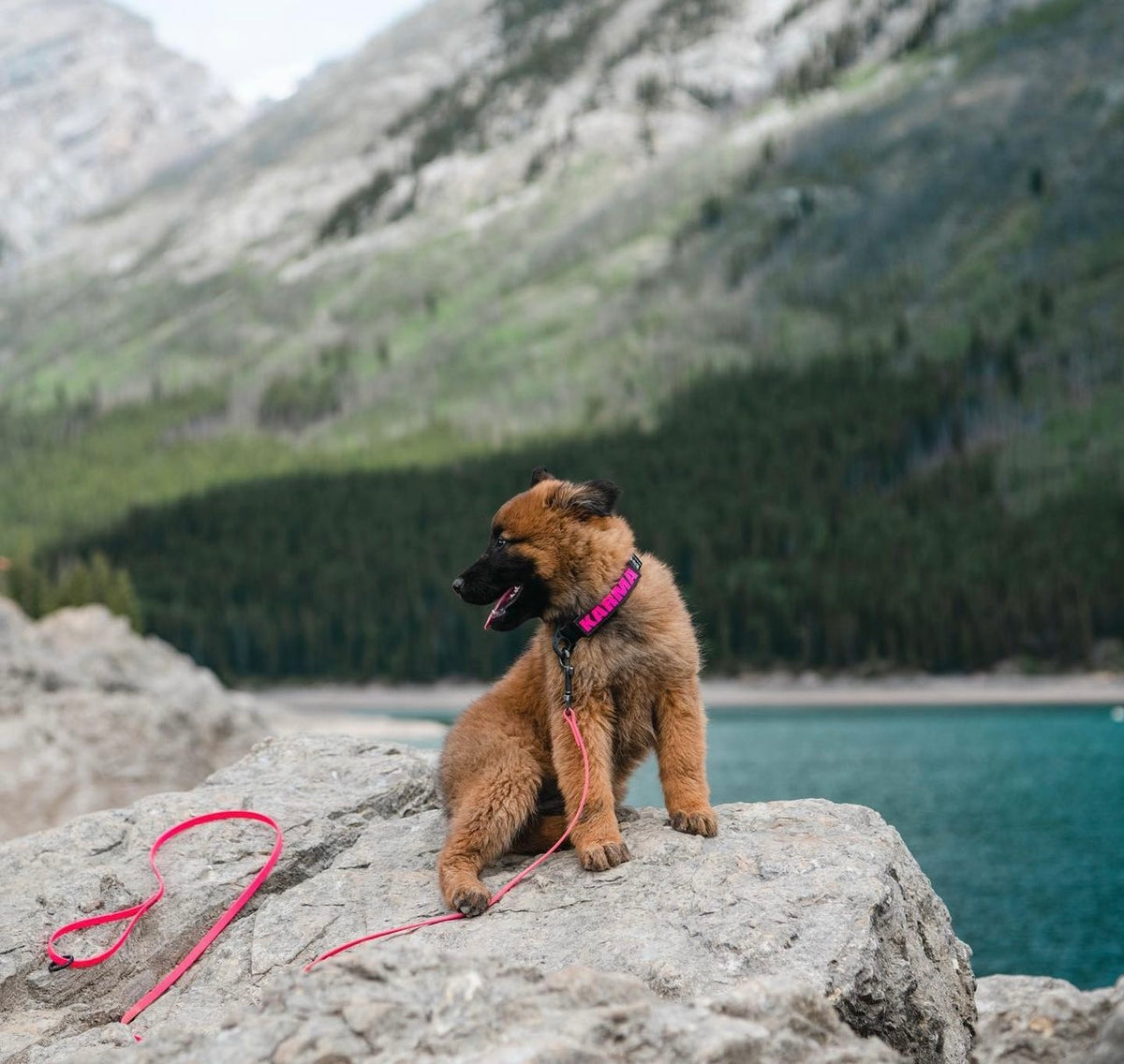 Customizable ID Panel | K9 Tactical Gear