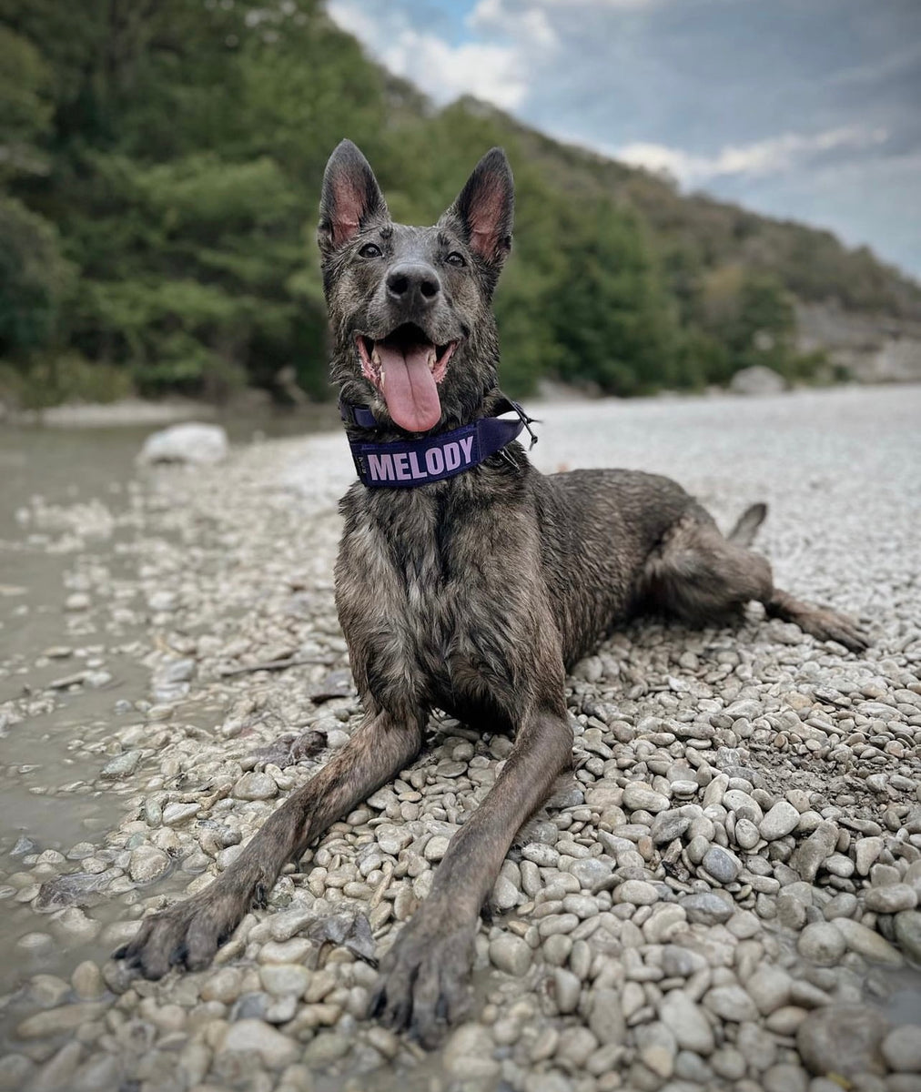 Customizable ID Panel | K9 Tactical Gear