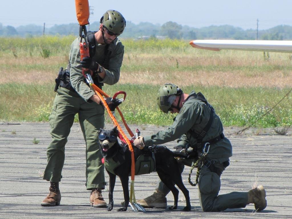 STABO Short Haul Harness – K9 Tactical Gear