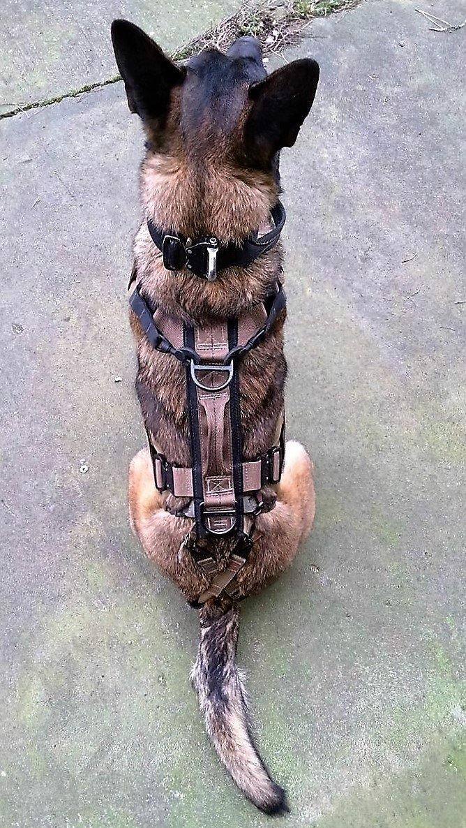 STABO Short Haul Harness – K9 Tactical Gear