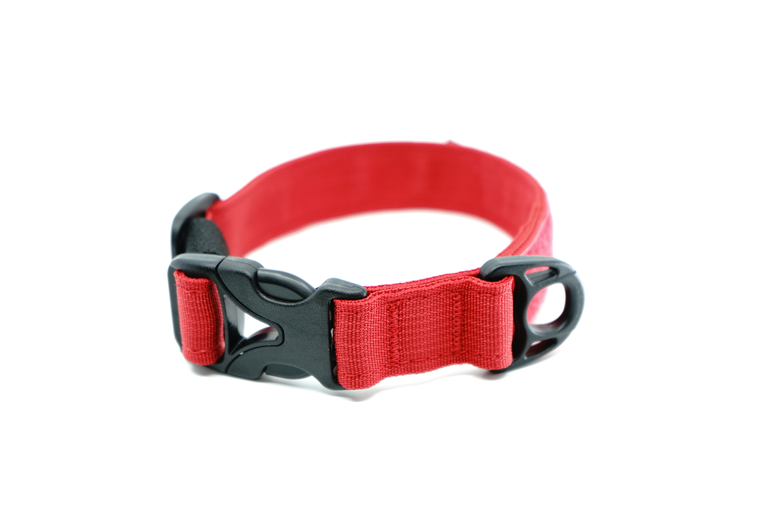 Puppy Collar (Small Dog) – K9 Tactical Gear