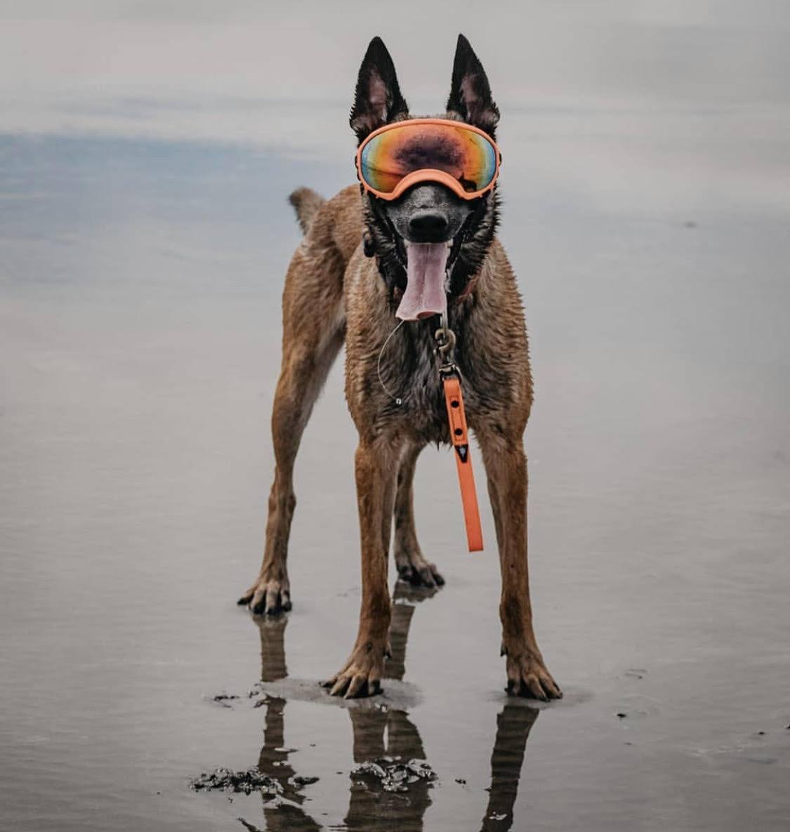 3/4" Super Heavy Weight Biothane Beta Tab – K9 Tactical Gear